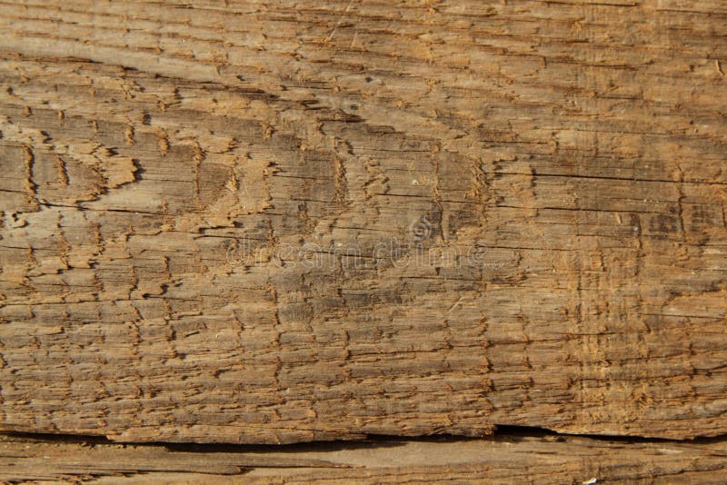 Wooden Texture in Antique Look Stock Image - Image of look, luxury ...