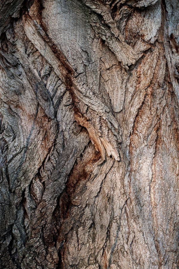 Wooden texture background stock image. Image of background - 91104625