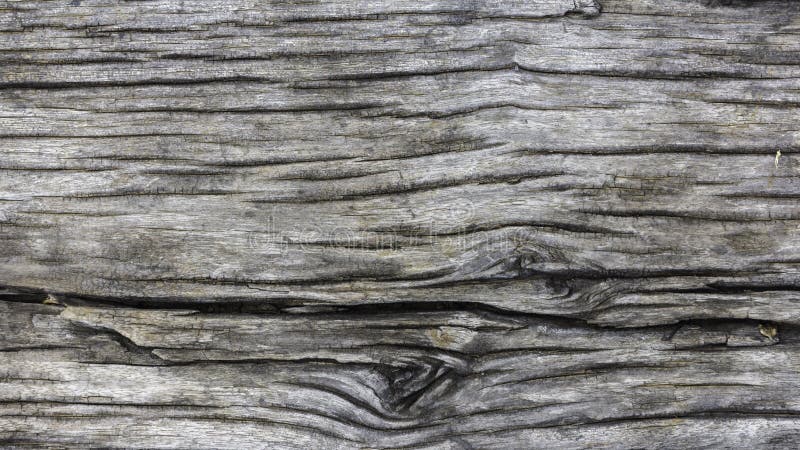 Wooden texture background stock photo. Image of antique - 43191394