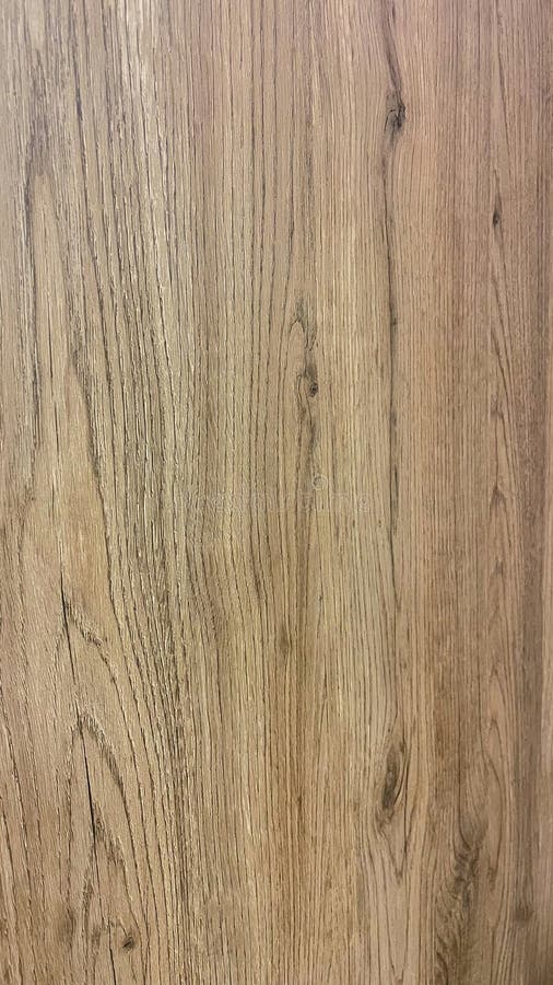 Wooden Texture Background, Natural Oak Pattern, Versatile for Design ...