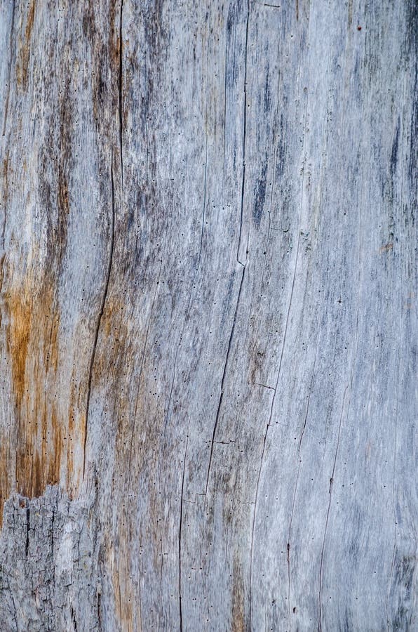 Wooden texture stock image. Image of grey, macro, structure - 84002981