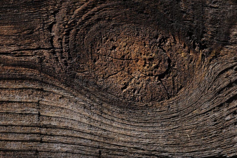 Wooden texture stock image. Image of black, grown, floor - 43478703
