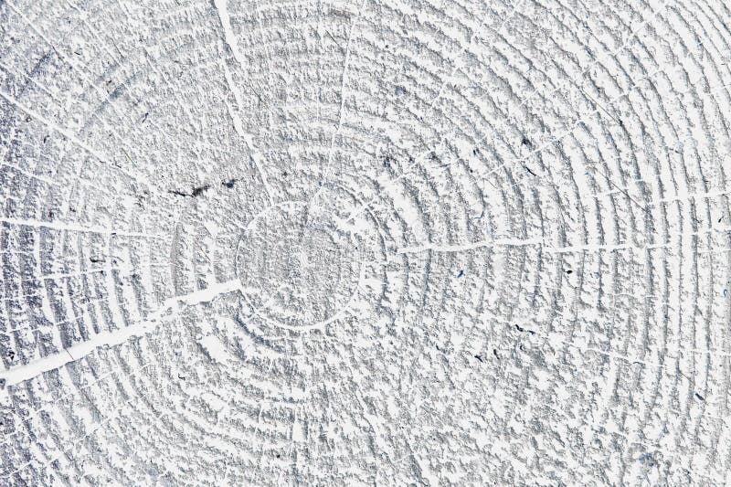 Wooden texture stock image. Image of panel, floor, nature - 47953343