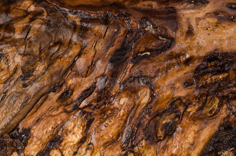 Wooden Texture, Oiled, the Core of the Ash Tree Stock Photo - Image of ...