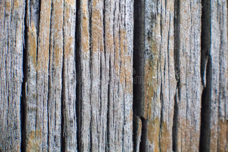 Wooden Texture of the Old Board. Stock Image - Image of brown, wooden ...