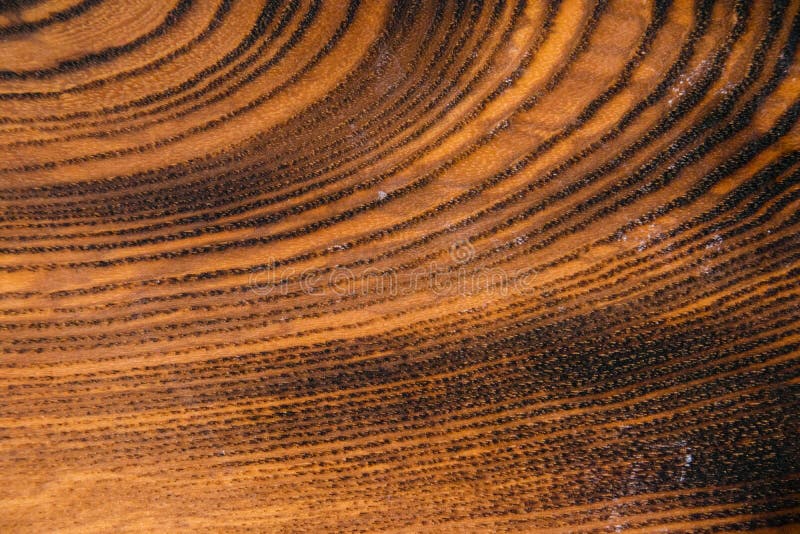 Wooden Texture of an Old Dark Burnt Board for Design Work and Home ...