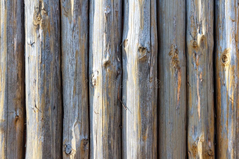 Wooden Texture, Pine Logs. Fence Stock Photo - Image of rustic, timber ...