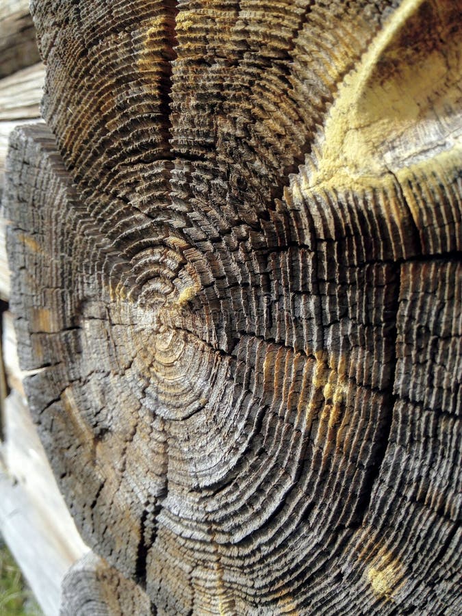 The Wooden Texture of the Russian Hut Stock Image - Image of wooden ...