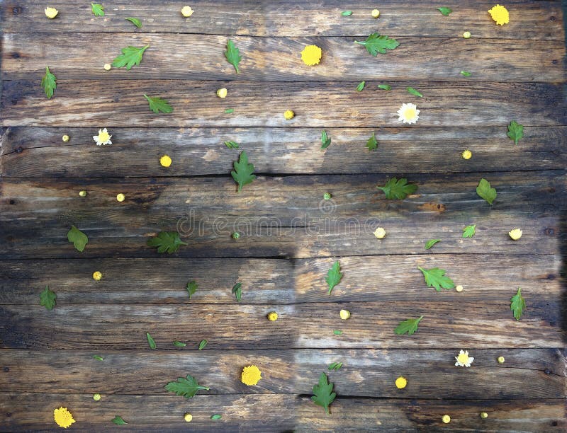 Wooden Texture. on Top of Autumn Flowers Stock Image - Image of ...