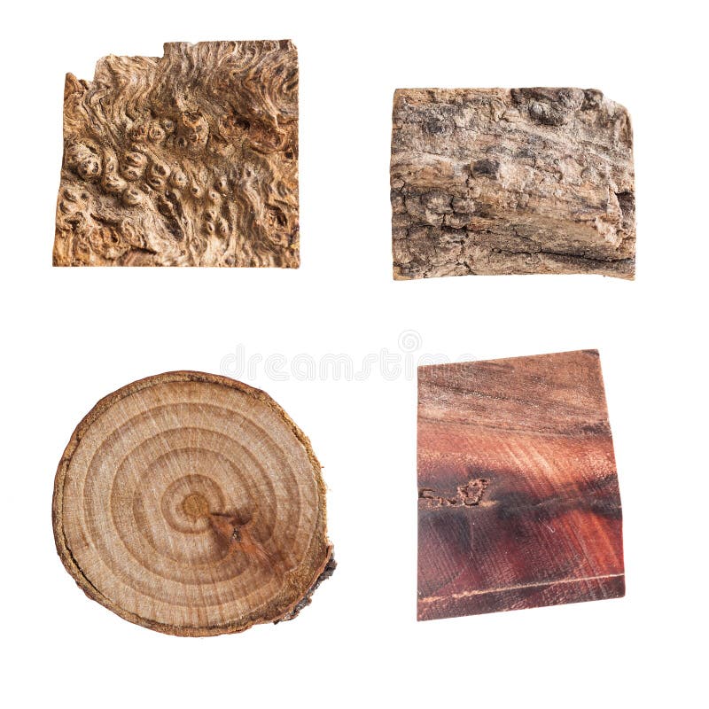 Wooden Texture Tree Bark stock photo. Image of macro - 54424664