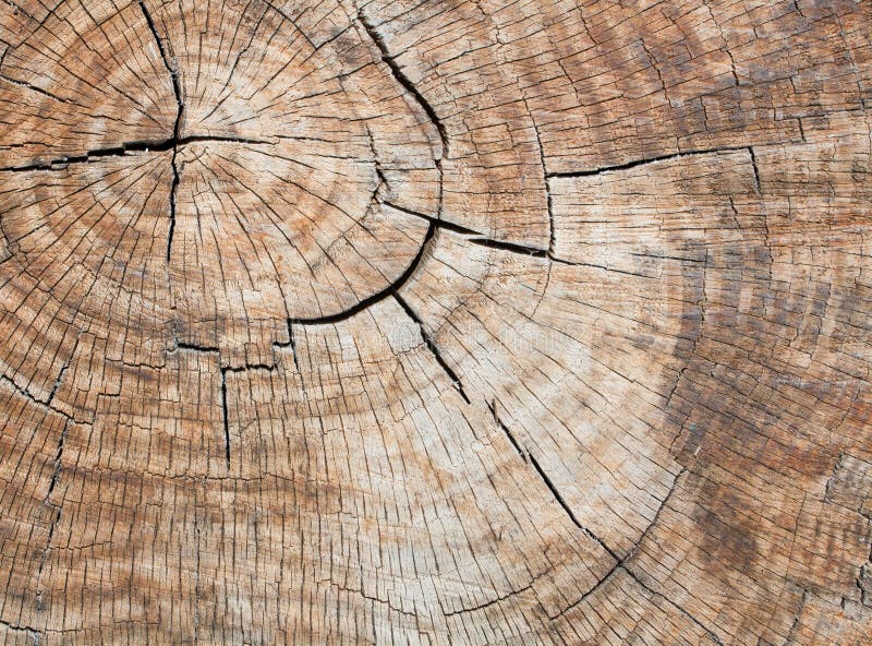 Wooden Texture stock image. Image of grained, brown, texture - 44442245