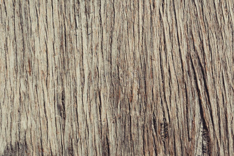 Wooden texture vertical stock photo. Image of hardwood - 123082810