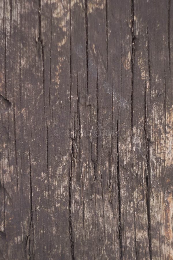 Wooden Texture. Vertical Orientation. Stock Photo - Image of closeup ...