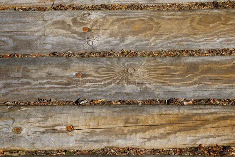 Wooden Texture of the Walking Path, Top View, Background Stock Image ...