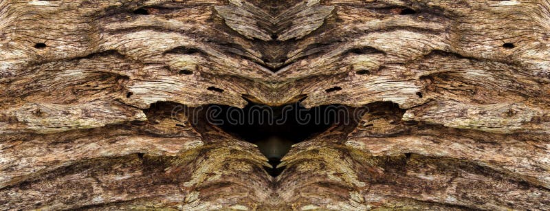 Wooden Texture Wallpapper with Equal Two-sided Pattern Stock Photo ...