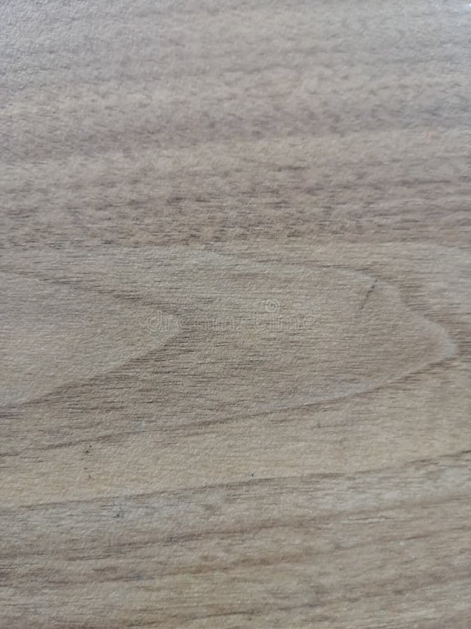 Wooden Texture Wood Oak Tree Closeup Texture Background Wooden ...