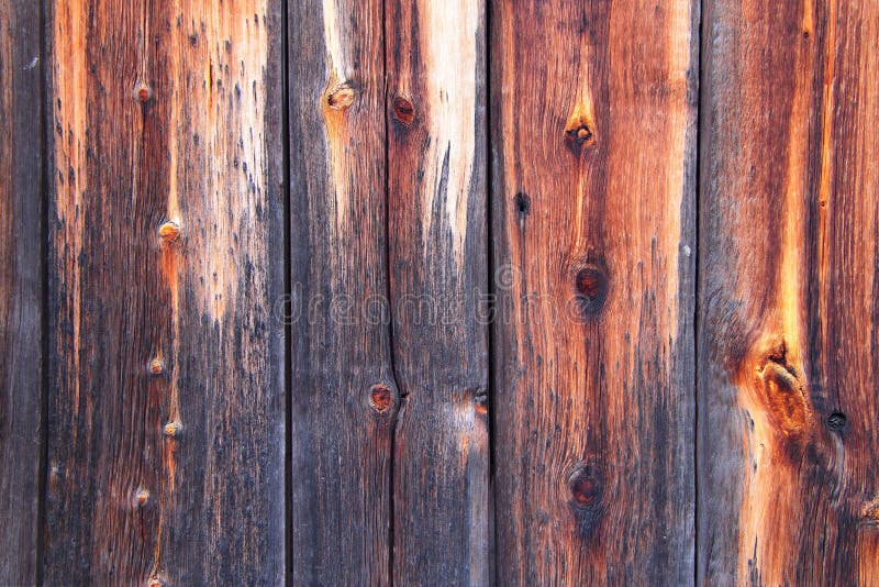Wooden Textures, Wood Panel Background, Texture of Wooden Boards. Stock ...