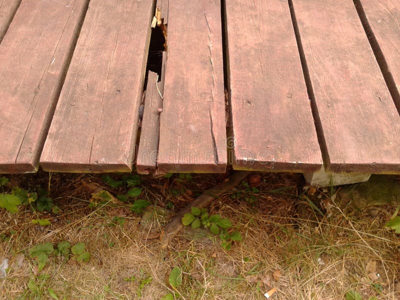 Wooden timber stock image. Image of wooden, timber, closeup - 43170695