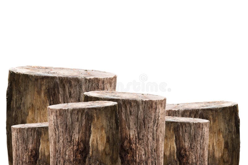 Wooden timber. stock photo. Image of lumber, renewable - 78432316