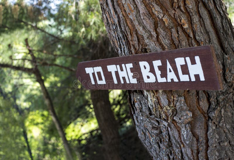 Wooden "to the Beach " Sign on a Tree Trunk Stock Photo - Image of ...