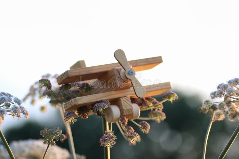 Wooden toy airplane stock photo. Image of model, dream - 81692928