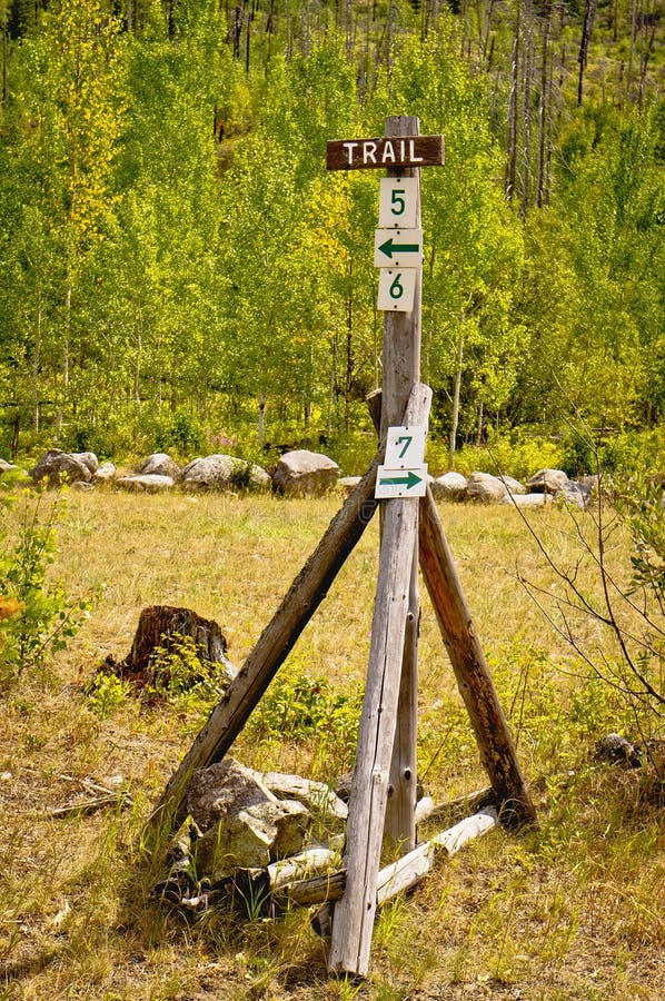 Wooden Trail Direction Sign Stock Photo - Image of sign, trees: 347238424