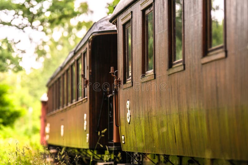 Wooden Train Cars on a Forest Line.. Stock Photo - Image of park, track ...