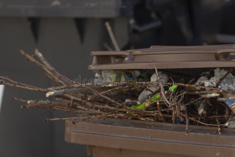 979 Inside Trash Can Pictures Stock Photos - Free & Royalty-Free Stock ...