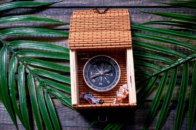 Wooden Treasure Box. Compass, Shell on a Wooden Background with ...