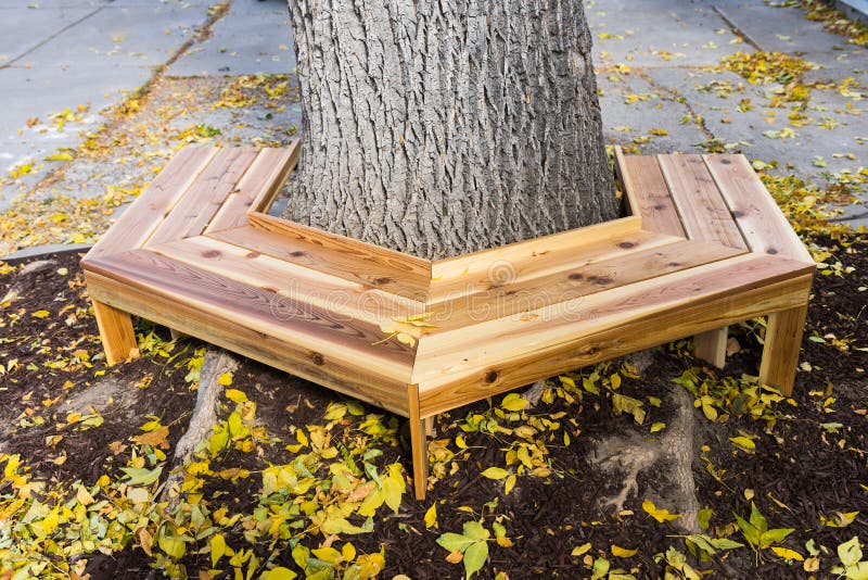 Wooden Tree Bench Wood Project Stock Image - Image of garden, autumn ...