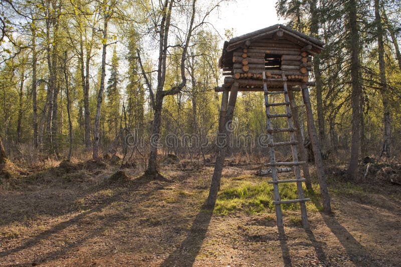 Wooden tree fort stock photo. Image of hunting, trees - 12282298