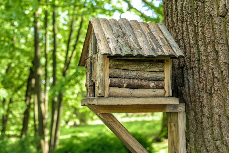 Wooden Tree House for Birds Stock Image - Image of bird, tree: 77916215