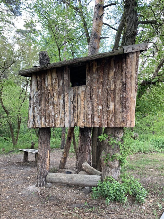 Wooden Tree House in the Forest. Wooden Structure Above the Ground ...