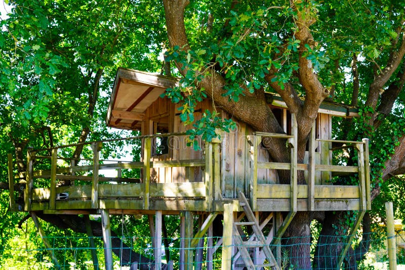 Wooden Tree House Hut in Home Garden Stock Photo - Image of landscape ...