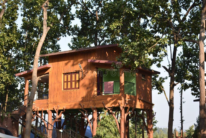 A Wooden Tree House in the Middle of a Forest Stock Image - Image of ...
