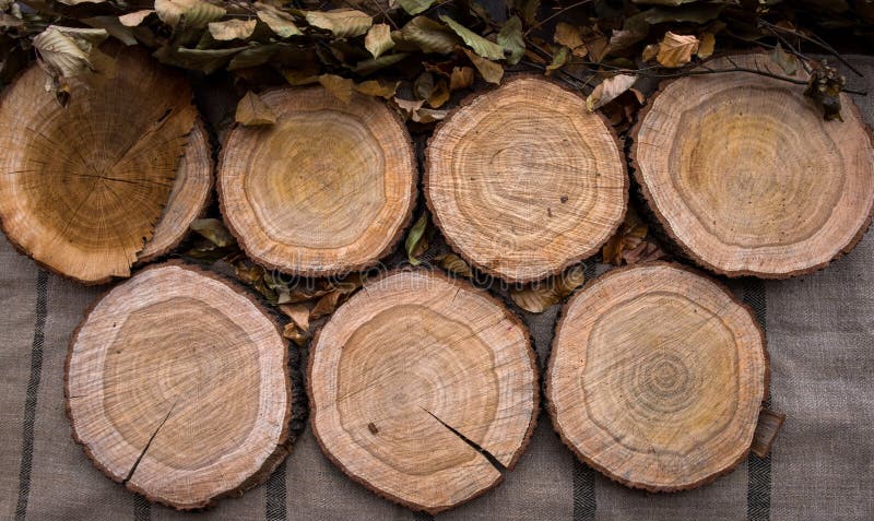 Wooden Tree Trunk Board Like Background, Stock Image - Image of ...