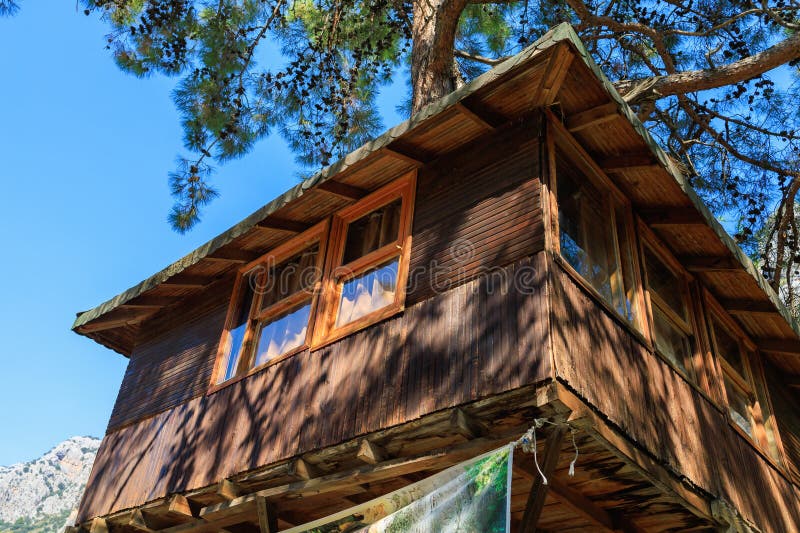 Wooden Treehouse. Background with Copy Space for Inscription Stock ...