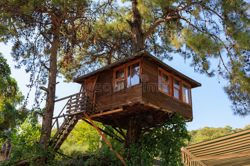 Wooden Treehouse. Background with Copy Space for Inscription Stock ...
