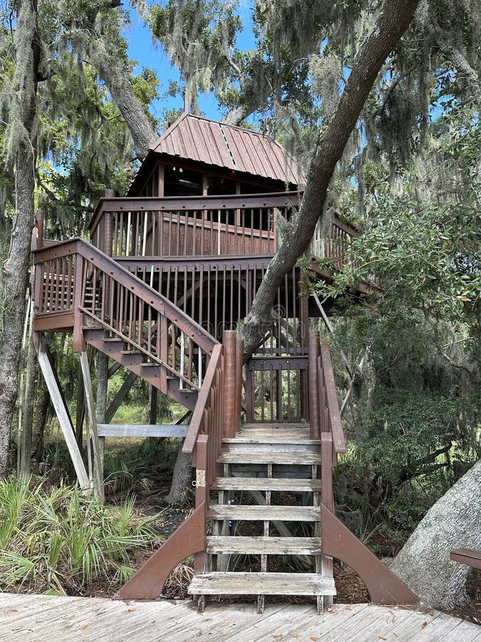 Wooden Treehouse in the Forest Stock Photo - Image of house, flower ...