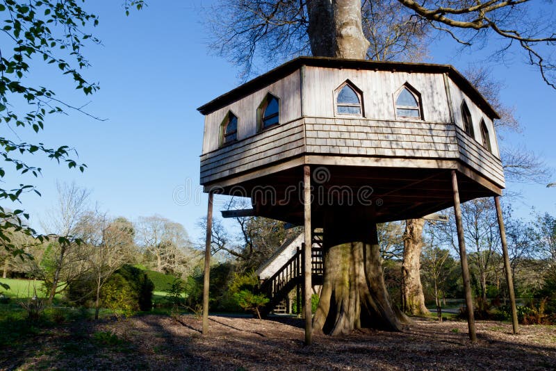 Woodland Treehouse stock image. Image of pines, brown, high - 633441