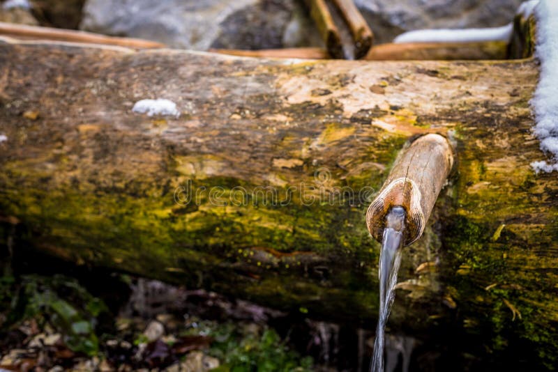 Wooden trough water stock image. Image of water, spring - 48598295