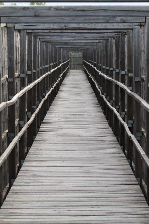 Wooden Tunnel stock photo. Image of brown, road, curve - 14059858