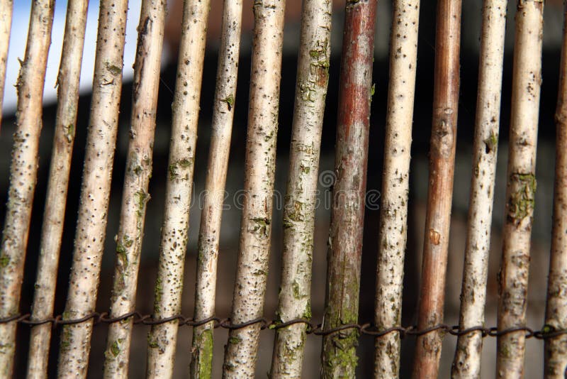 Wooden twigs stock photo. Image of fence, wooden, backdrop - 23096140