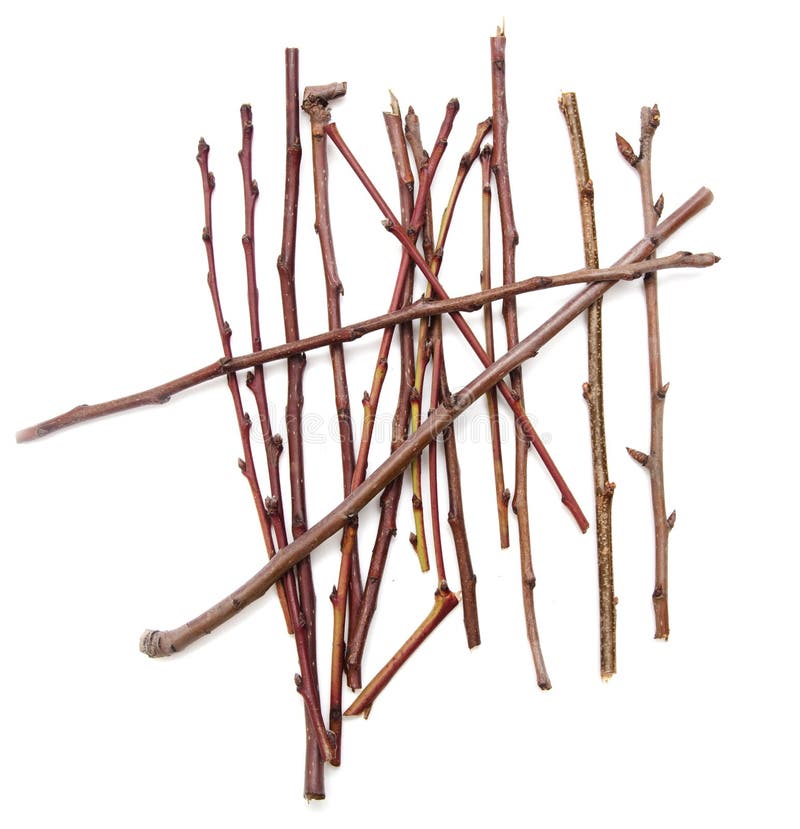 Wooden Twigs Isolated on a White Stock Image - Image of branch, tree ...