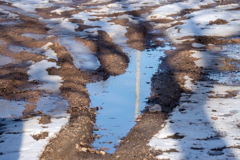 A Wooden Utility Pole Reflected in a Mud Puddle Stock Photo - Image of ...