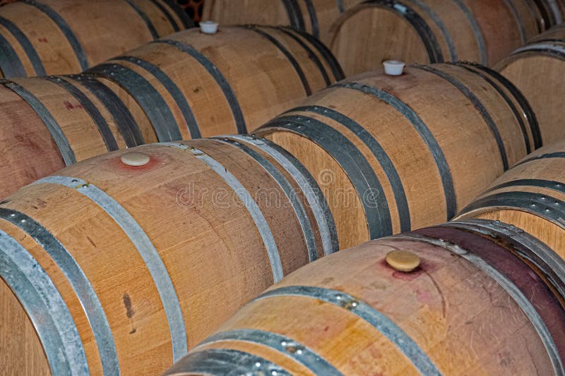 Wooden Vats for Winemaking and Winery Stock Photo - Image of grape ...