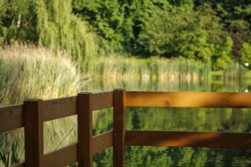 Viewing Platform Over Summer Lake Stock Photo - Image of wood ...