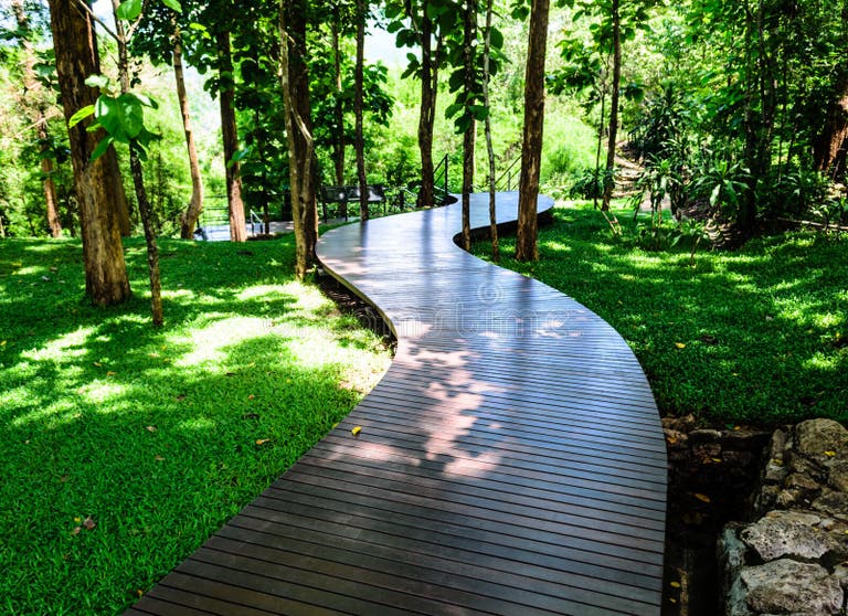 Wooden Walk Curve Way stock photo. Image of outdoor, lake - 31408926