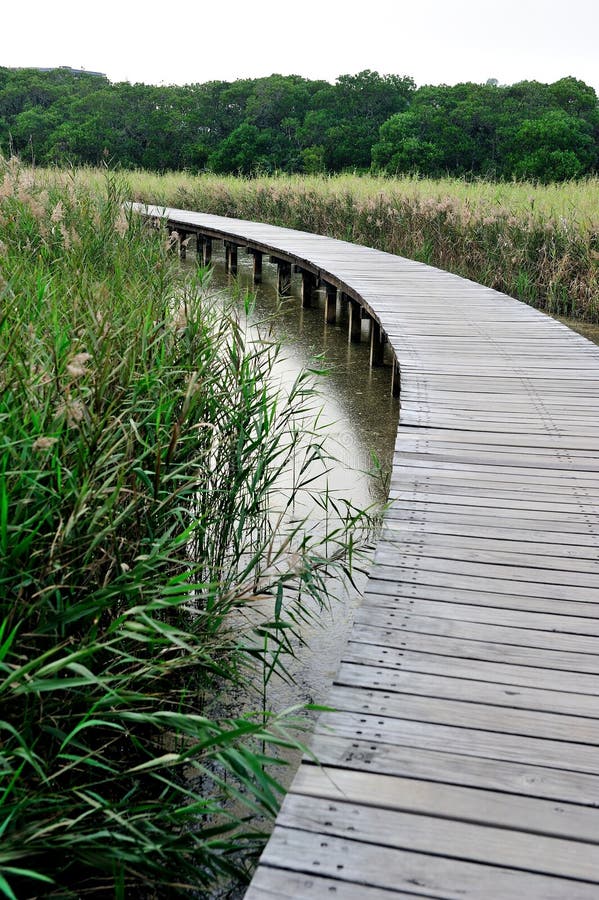 Wooden walk way stock photo. Image of footpath, scene - 28718196