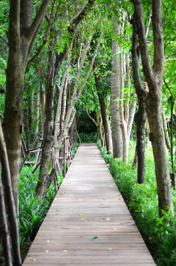 Wooden Walk Way in the Garden Stock Image - Image of leaf, nature: 87479153